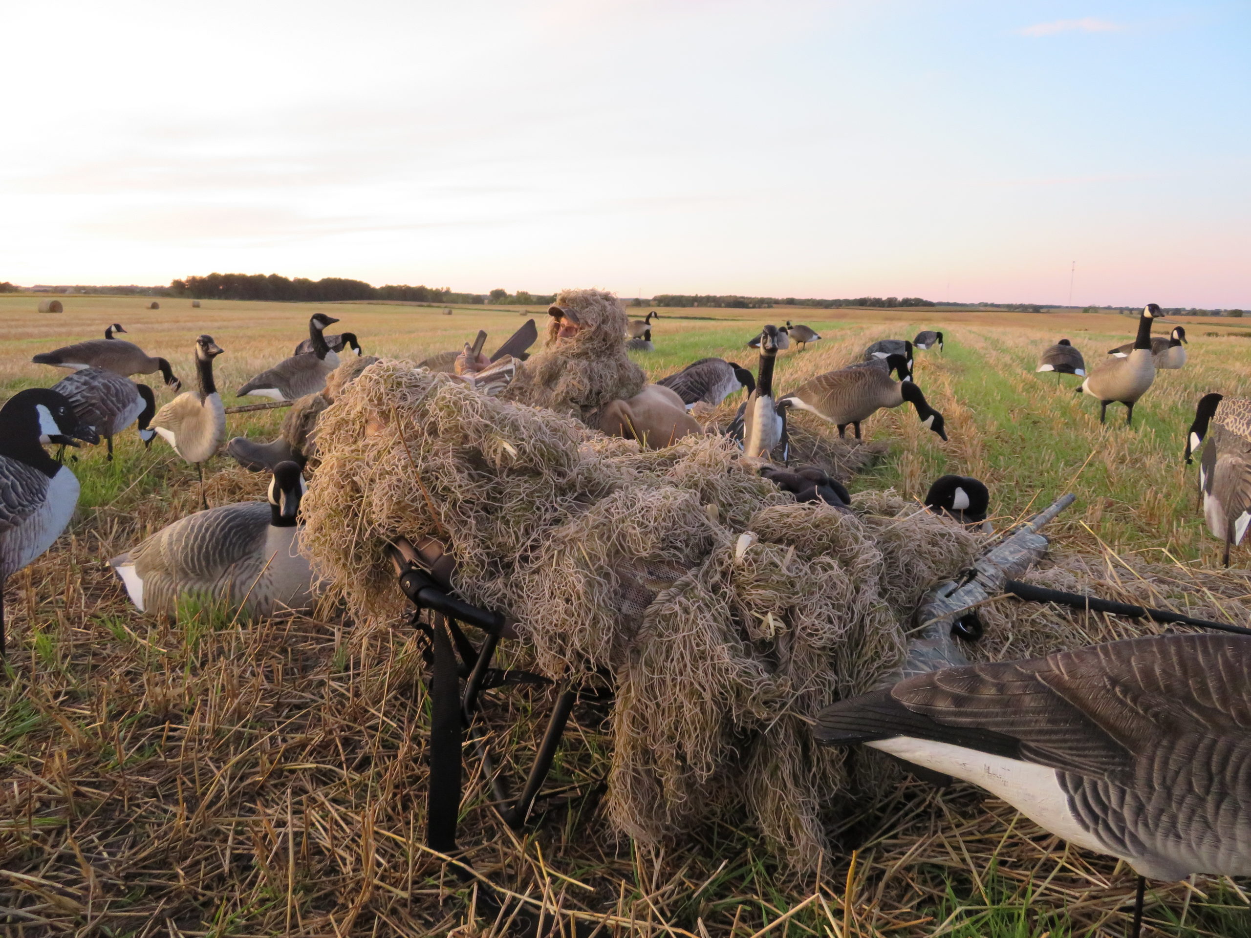 Outwitting those spooky Canada geese during hunt | Annandale Advocate