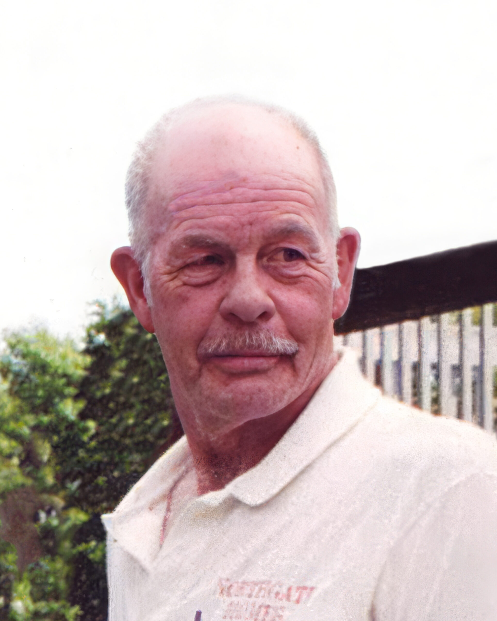 Daniel Carlson | Annandale Advocate